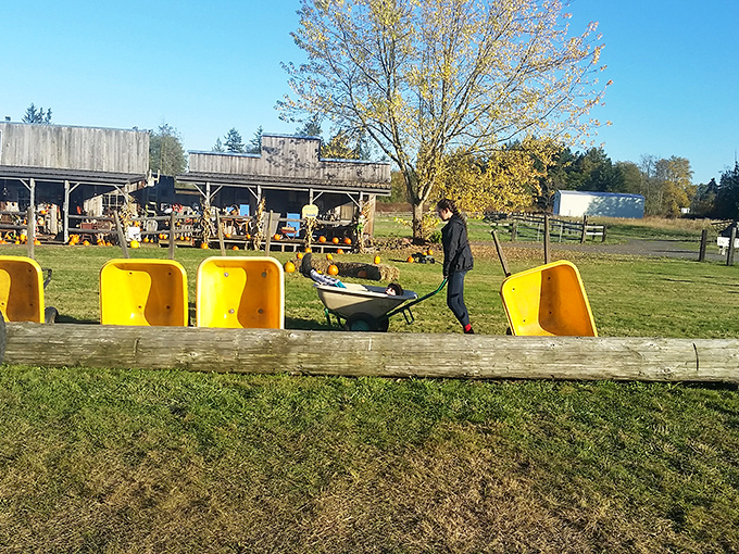 Rustic retail therapy! Yellow chairs stand sentinel outside this weathered wooden shop where country treasures await adoption.