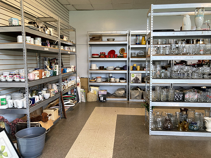 Glassware enthusiasts, prepare to lose track of time among these meticulously organized shelves of potential heirlooms.