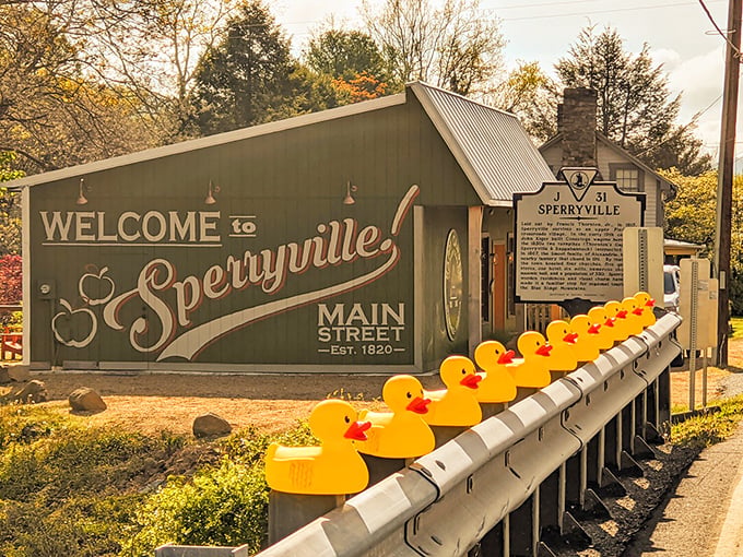 This "Welcome to Sperryville" mural captures the town's apple-growing heritage and small-town pride. Affordable living with a side of charm!