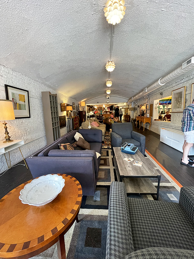 Living room goals hidden in plain sight! The Brown Elephant's elegantly arranged furniture section feels more like a design showroom than a thrift store.