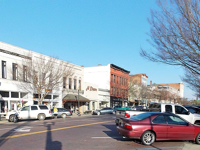 From this bird's-eye view, you can almost see your Social Security check stretching across Thomasville's affordable neighborhoods and welcoming streets.