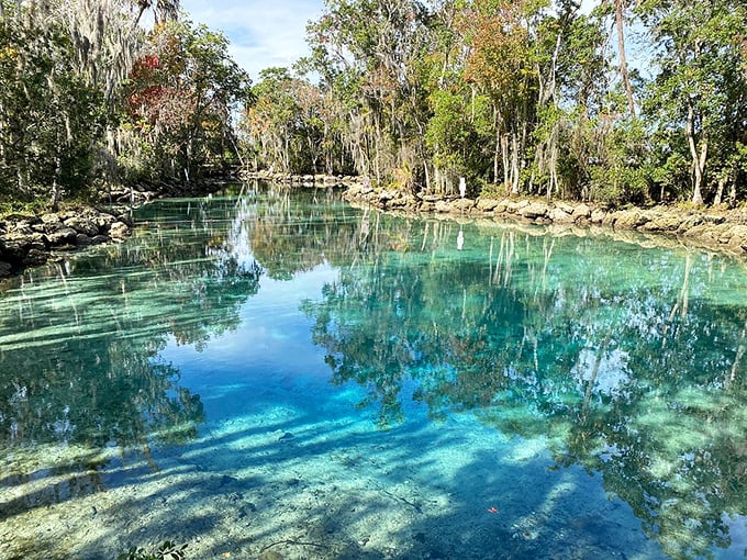 Nature's swimming pool: Three Sisters Springs offers water so clear you'll wonder if someone forgot to add the chlorine.