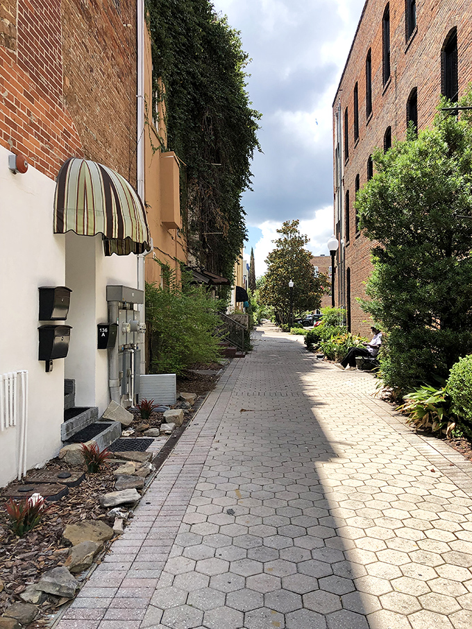 Hidden walkways between historic buildings reveal Valdosta's secret gardens and peaceful nooks. Like finding the VIP section without the velvet rope.