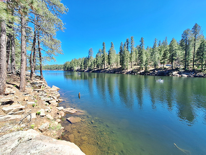 Apache-Sitgreaves National Forest offers fishing spots where the biggest decision is which comfortable rock to claim. 