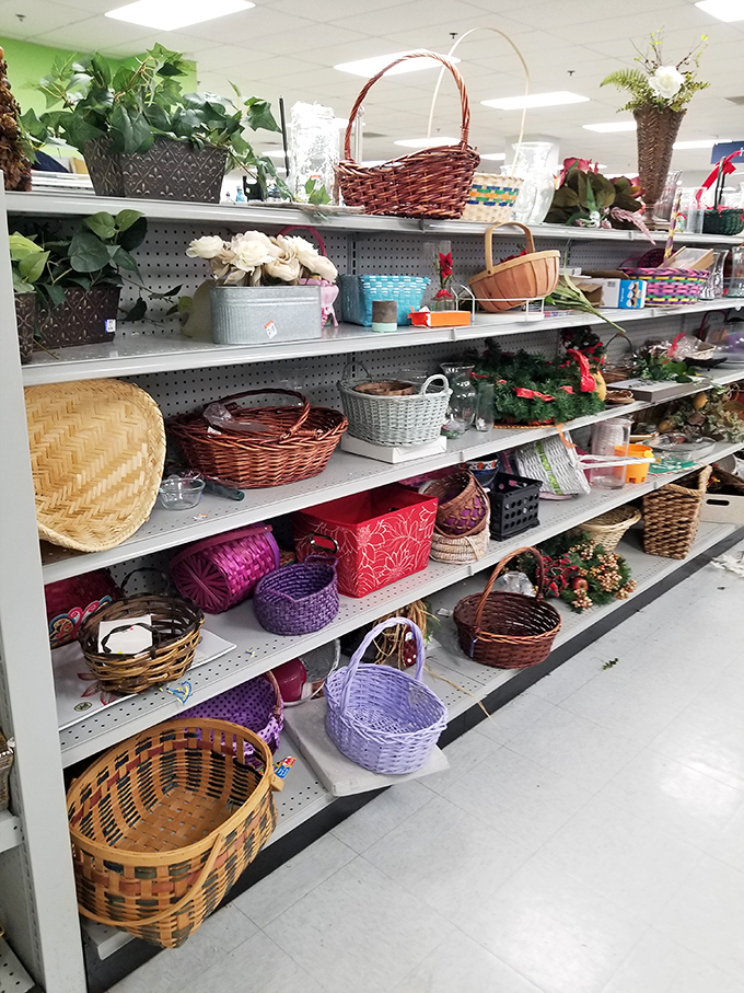 A basket bonanza that Martha Stewart would approve of! From wicker to plastic, these vessels are just waiting to organize someone's craft room or garden shed. 