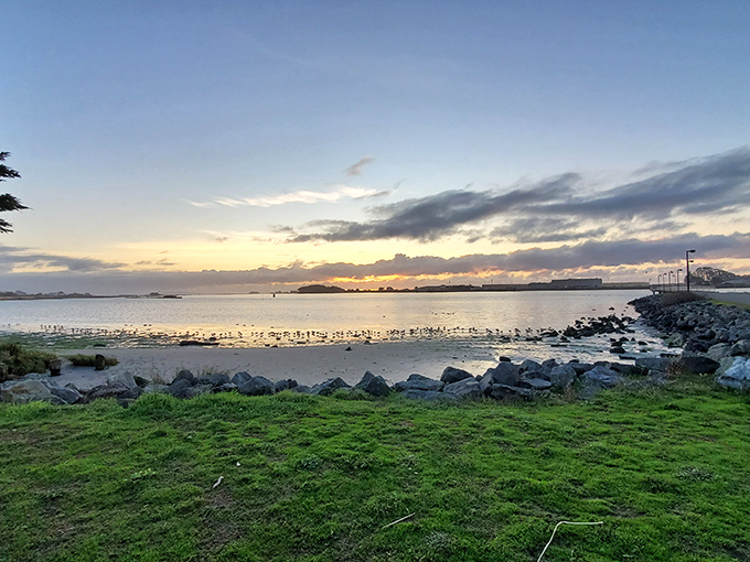 Sailboats dot Humboldt Bay like a maritime painting come to life. The perfect backdrop for contemplating life's big questions or just enjoying an ice cream. 