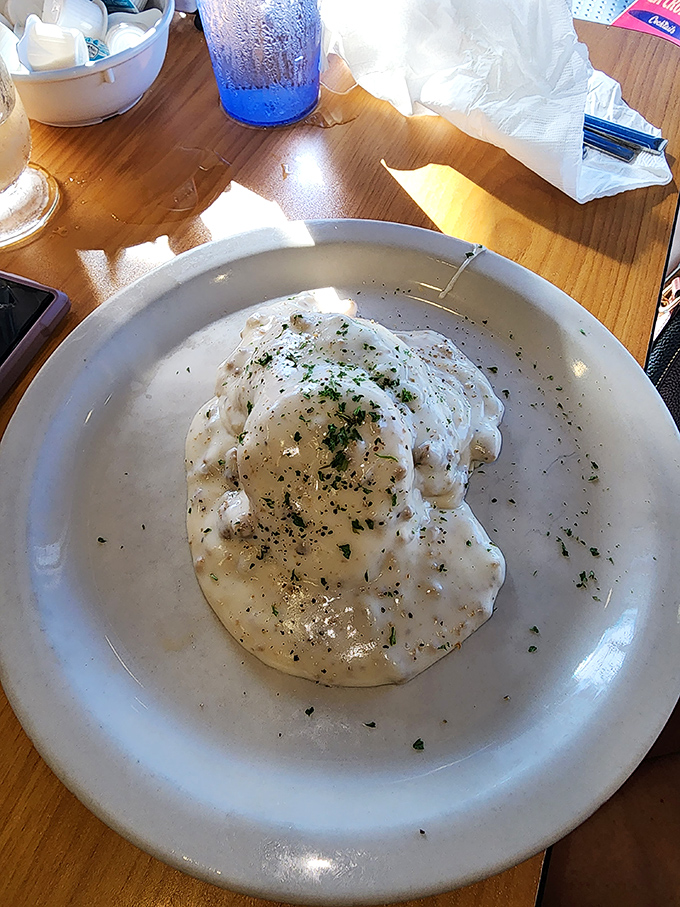 Creamy biscuits and gravy that would make your Southern grandmother nod in approval while secretly asking for the recipe.