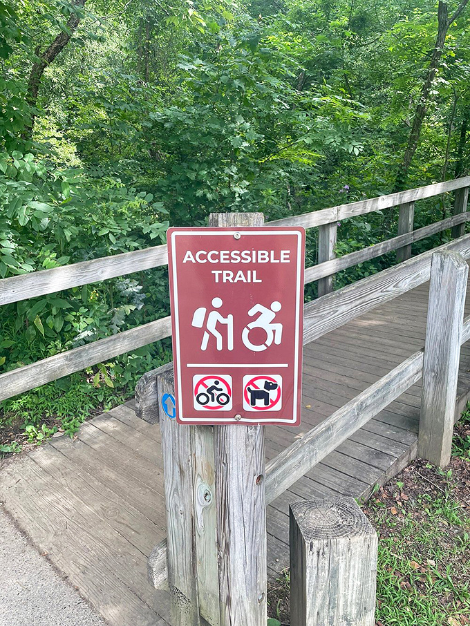 Accessible isn't just a nice gesture here&mdash;it's a promise that nature's splendor doesn't discriminate based on mobility. What a concept!