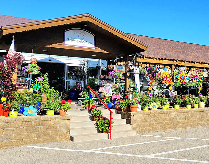 Brenda's Blumenladen explodes with color like a painter's palette gone wild &ndash; Swiss tradition meets Midwest gardening enthusiasm.