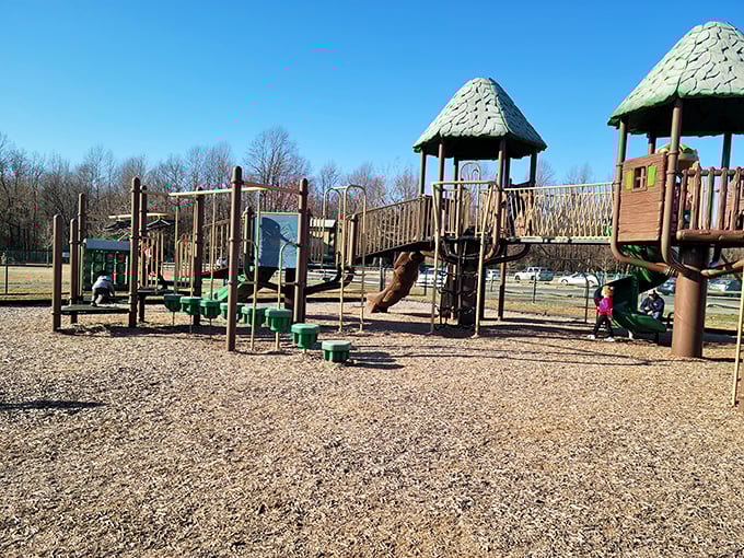 Childhood still happens outdoors in Harrington, where this playground offers kids the radical concept of fun without requiring a charging cable.