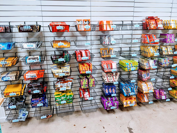Wire baskets overflow with familiar brands and unexpected treasures, creating a wall of temptation that no willpower can withstand.