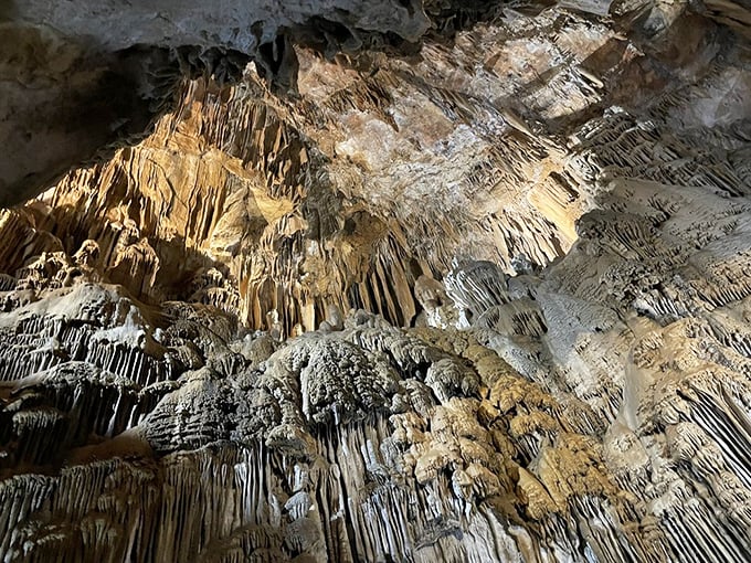 Behold the Cathedral Room, where stalactites create a natural pipe organ that would make Bach jealous. The acoustics in here are so perfect you'll want to burst into song.
