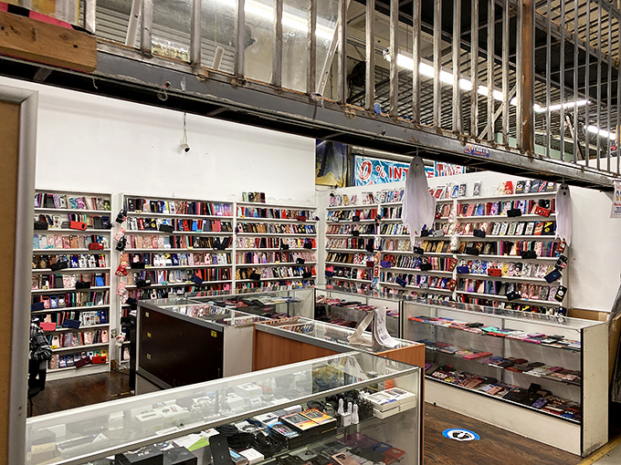 Not just a place to buy phone cases, but a museum of modern communication accessories, organized with surprising precision.