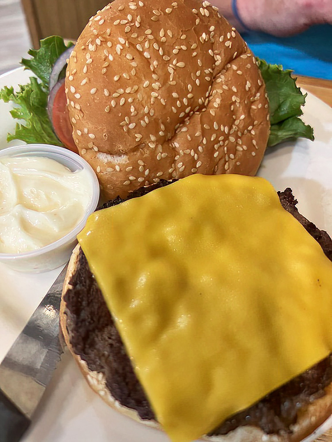 The cheeseburger arrives with that perfect yellow square of American cheese—a patriotic monument to simplicity done right.
