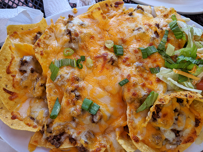 Cheese that stretches like your favorite sweatpants after Thanksgiving dinner. These nachos understand the meaning of generosity.