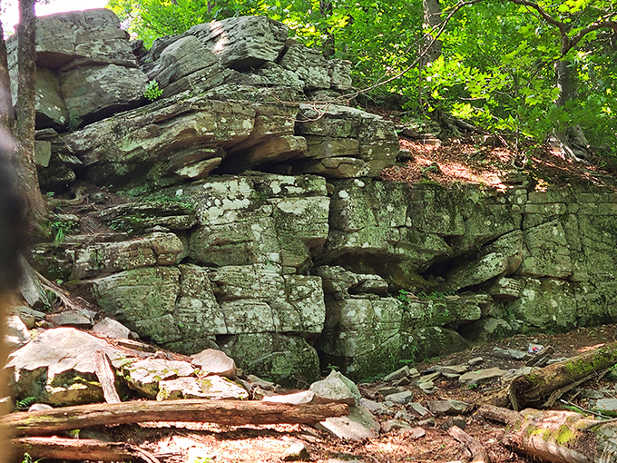 Ancient rock formations tell geological stories older than your favorite dad jokes. Nature's architecture at its most impressive.