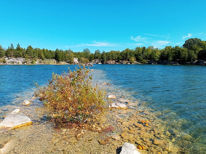 Water so clear you can count pebbles like they're stars. The Caribbean called&mdash;it wants its transparency back.