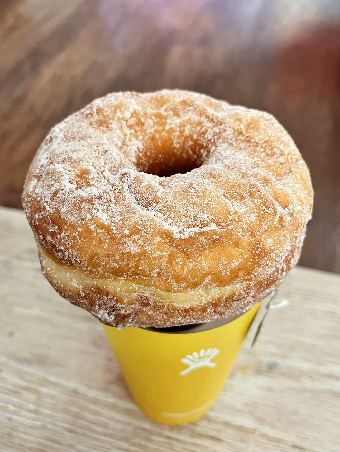 Sugar-dusted simplicity perched atop a paper cup. In a complicated world, this is clarity.