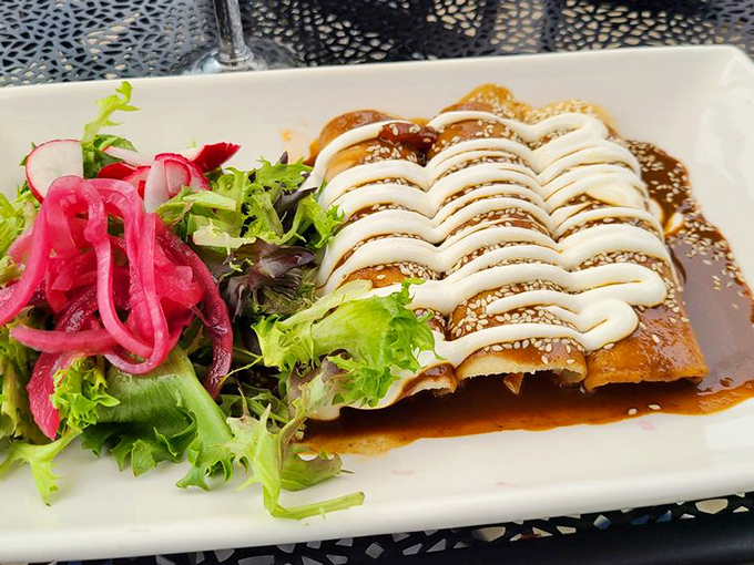 Enchiladas draped in mole sauce with artistic crema zigzags&mdash;proof that sometimes the most delicious things come in the most photogenic packages.