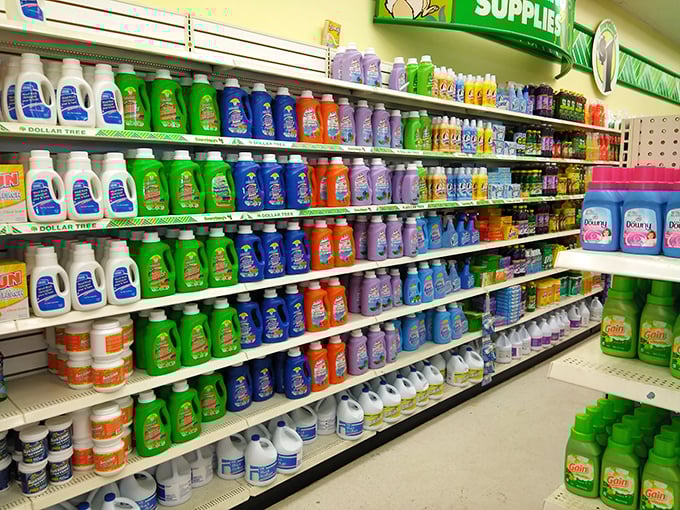 Cleaning supplies in a rainbow of scents and colors. The satisfaction of stocking up without your wallet crying out in protest.