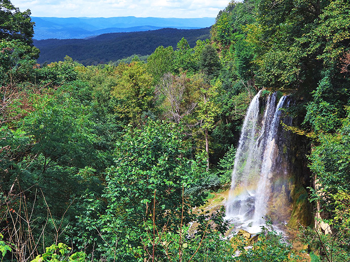 Falling Springs Waterfall cascades dramatically through lush greenery, nature's version of "look at me!" without the social media addiction.