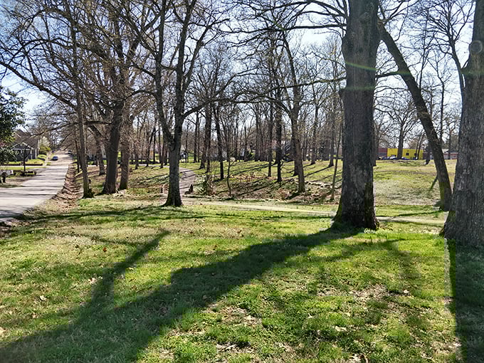 Ferguson Grove Park offers tranquil green spaces where the only thing disturbing your peace might be an overly friendly squirrel.