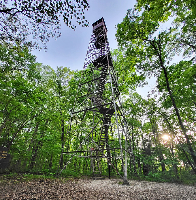 The fire tower rises above the canopy like a steel sentinel, offering panoramic views that would make even Instagram influencers put down their phones in awe.