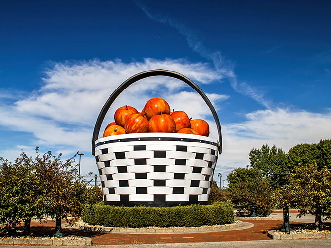Morning light catches the basket's wooden weave, creating shadows that could tell time like some ancient basket sundial.