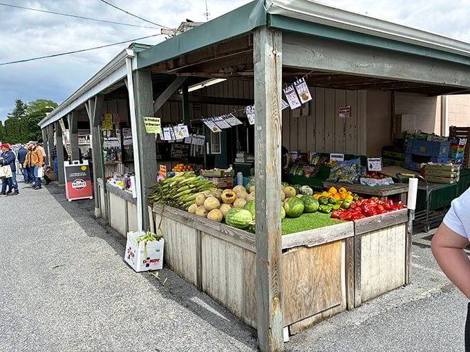 Nature's color palette on display &ndash; these farm-fresh vegetables weren't meeting their destiny in a grocery store yesterday, they were still growing.