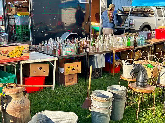 Glass bottles standing at attention, each one a liquid time capsule from simpler, more colorful times.