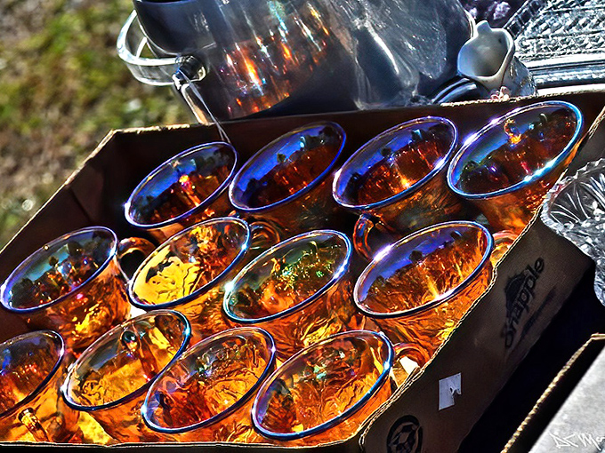 Amber glass catching sunlight like liquid gold. These vintage tumblers have probably witnessed decades of family dinners and holiday toasts.