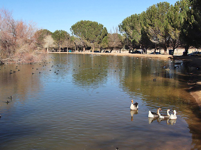 Hesperia Lake Park offers tranquility with a side of fishing&mdash;no "one that got away" stories required.