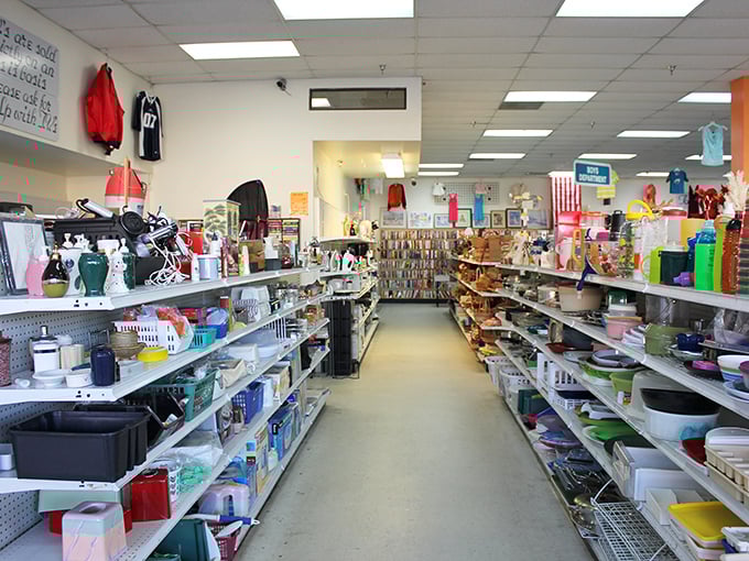 Aisle after aisle of kitchen possibilities where your grandmother's favorite serving dish might be hiding between modern plastic wonders.