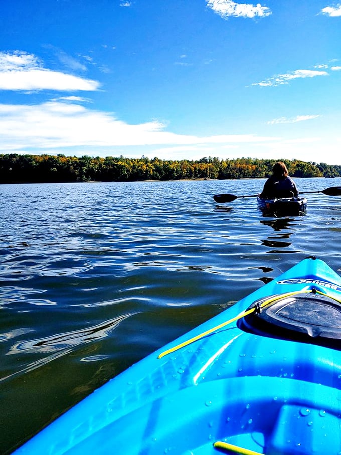 Water therapy, Midwest style. Nothing cures modern life's chaos quite like gliding across Harsha Lake in a kayak borrowed from someone who actually knows how to paddle.