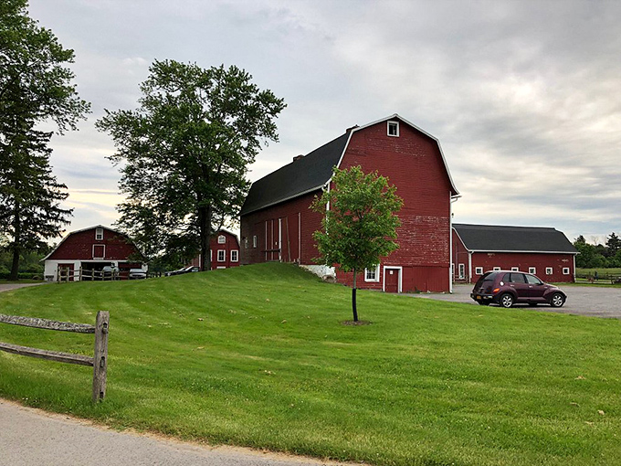 Classic red barns dot the landscape at Knox Farm State Park, where city slickers can experience rural charm without actually having to milk anything.