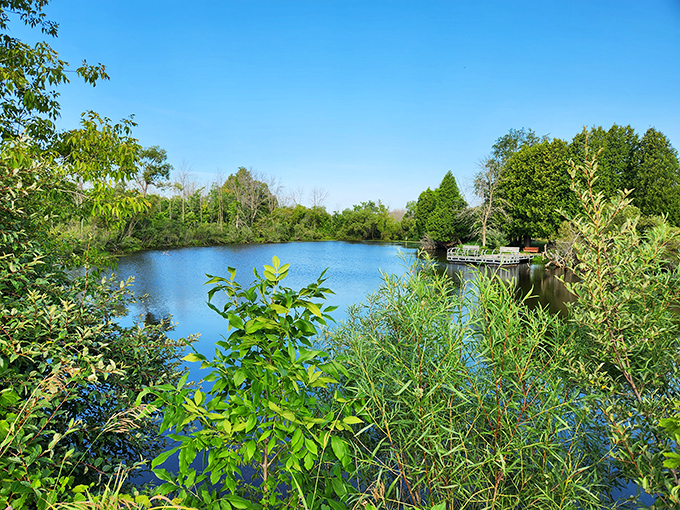 This hidden lake reflects the sky so perfectly you might get vertigo looking at it. Mother Nature showing off her mirror-like talents without a hint of vanity.