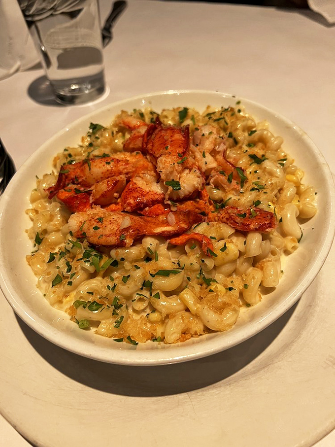 Behold the mac and cheese that launched a thousand road trips &ndash; where cavatappi pasta curves embrace chunks of lobster in a cheese sauce worthy of poetry.