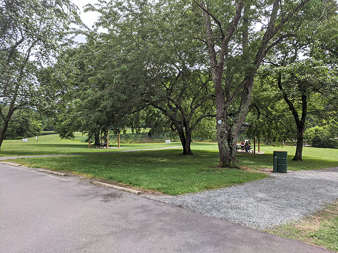 Mint Springs Valley Park offers the kind of tranquility that expensive meditation apps try desperately to replicate. Nature's therapy session, no subscription required.