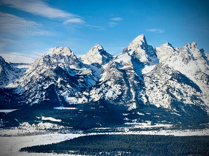 The Tetons rise like nature's skyscrapers, their snow-capped peaks creating the kind of backdrop that makes even mediocre photographers look like professionals.