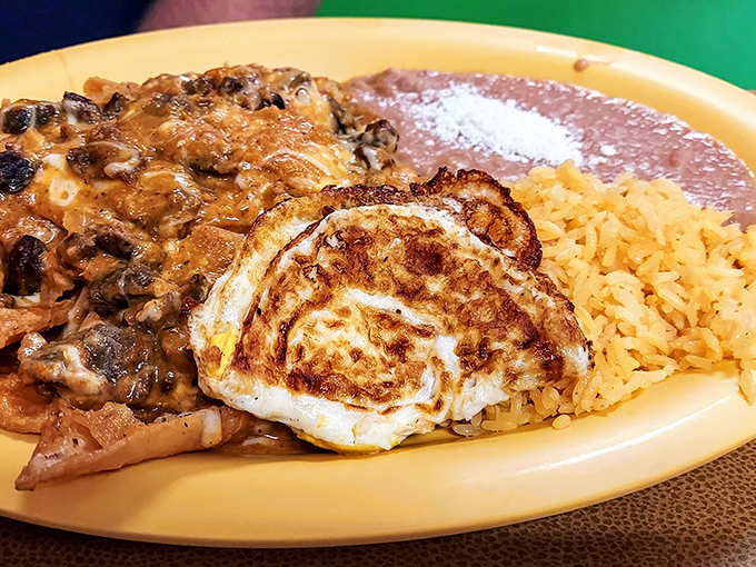 This plate doesn't just serve food—it serves joy. The golden rice, the perfectly seasoned meat, the egg that says "I complete this masterpiece."