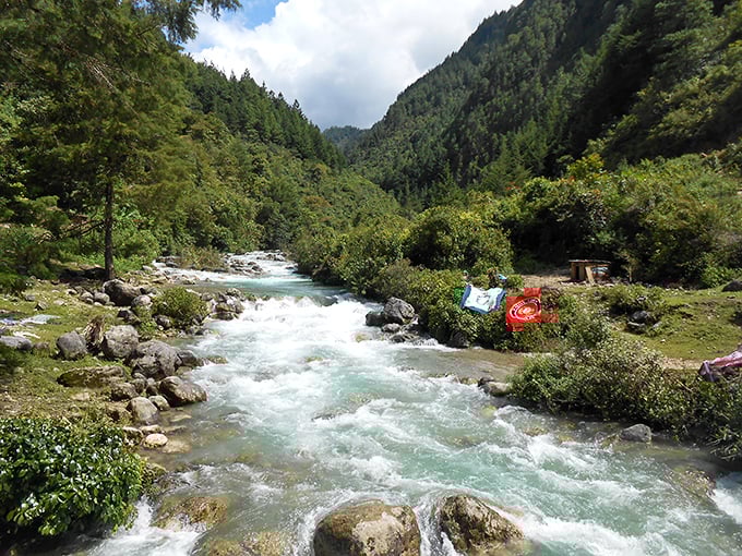 Crystal clear waters rush through the Upper Cumberland wilderness, nature's version of a spa day just a short drive from downtown Cookeville.