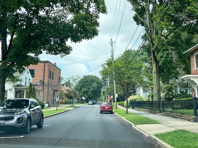 Tree-lined residential streets showcase Granville's everyday charm, where historic homes and modern life blend seamlessly.