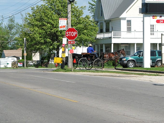 A horse and buggy pauses at a stop sign, a daily reminder that in Seymour, the rush of modern life occasionally yields to traditions centuries in the making.