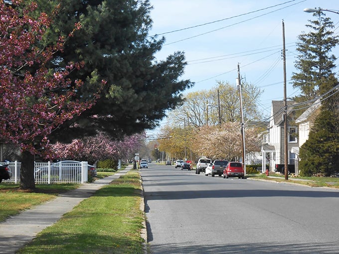 Tree-lined streets with well-maintained sidewalks make afternoon strolls both practical and pleasant—the kind of simple luxury that doesn't show up on tax bills.
