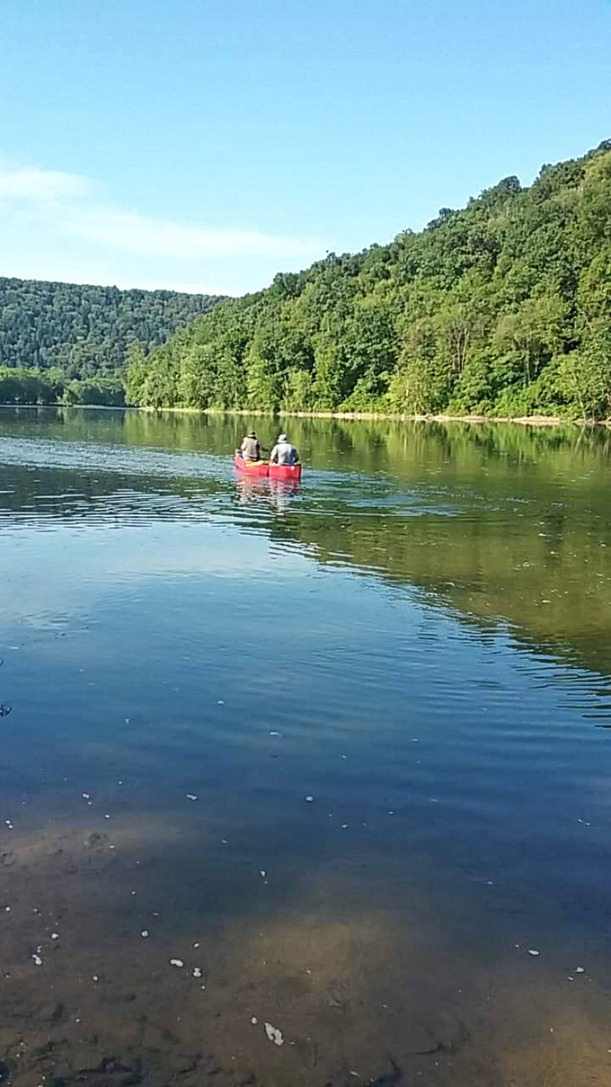 Paddling the Allegheny offers the kind of serenity that expensive meditation apps promise but can't deliver. Nature's therapy comes free here.