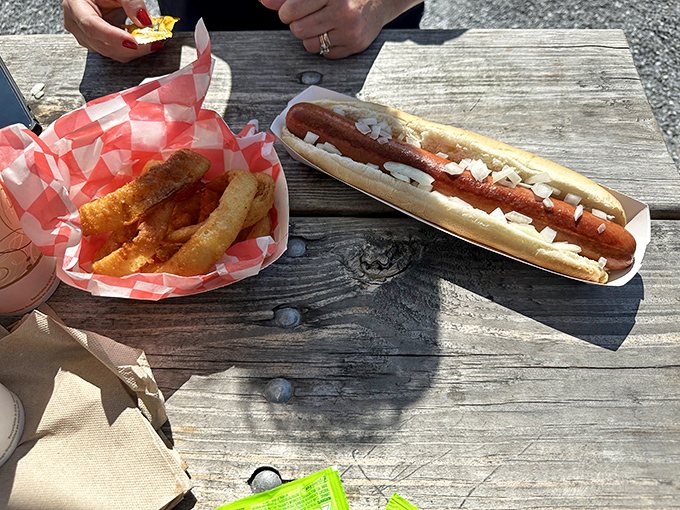 Simple pleasures done right: a classic coney with diced onions alongside golden-brown onion rings that crunch loud enough to turn heads.