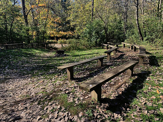 Nature's amphitheater awaits with these rustic benches, perfect for performances by singing birds and the occasional dramatic squirrel.