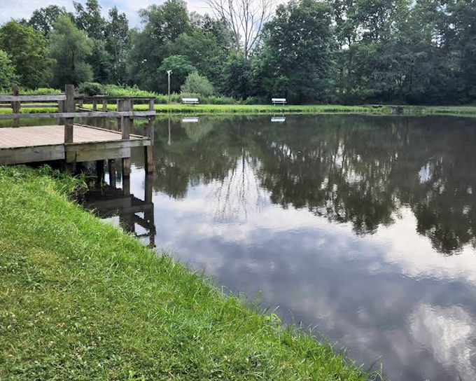 Tranquil waters reflect the sky at this local park, offering a moment of zen that costs nothing but delivers everything your stressed-out soul needs.