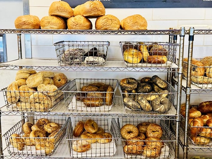 Bagel heaven exists on metal shelving. Each variety waits patiently in its wire basket, a carb-loaded treasure chest of possibilities.