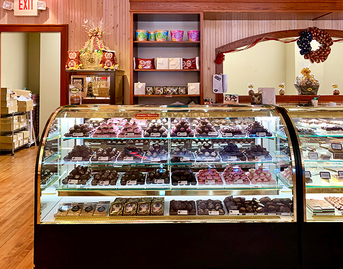 Behind curved glass lies chocolate paradise&mdash;handcrafted truffles and fudge arranged with the precision of museum artifacts you can actually eat.